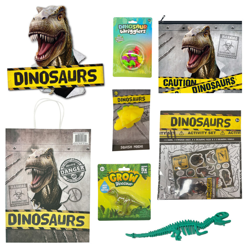Dinosaur Mini Showbag | Kids Party Bags